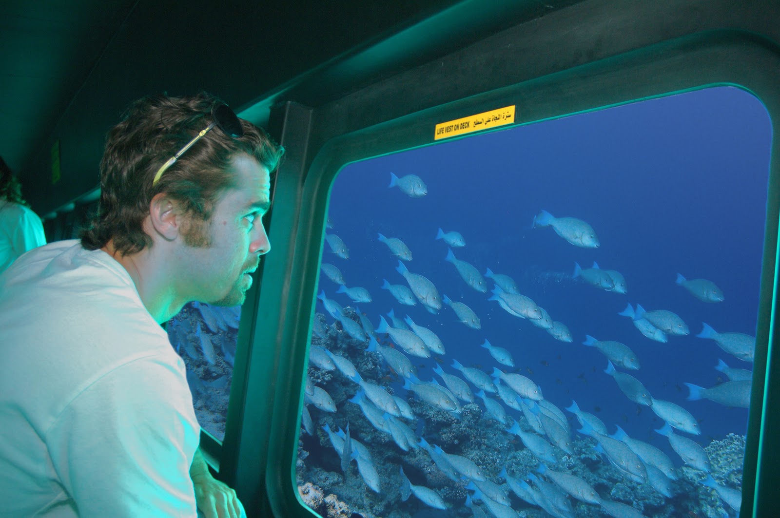 Amazing Submarine Tour in Hurghada - Egypt Private Trips